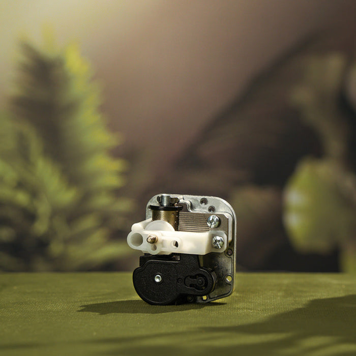 Musical cello kit experience 🎵 Discover now!